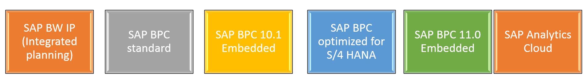 The corporate financial planning with SAP and its future
